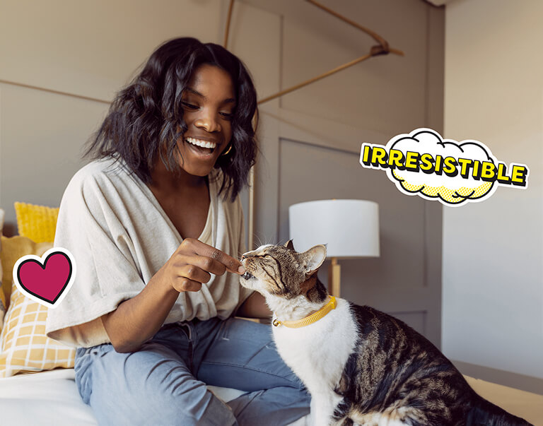 Canada's #1 Cat Treat | TEMPTATIONS™